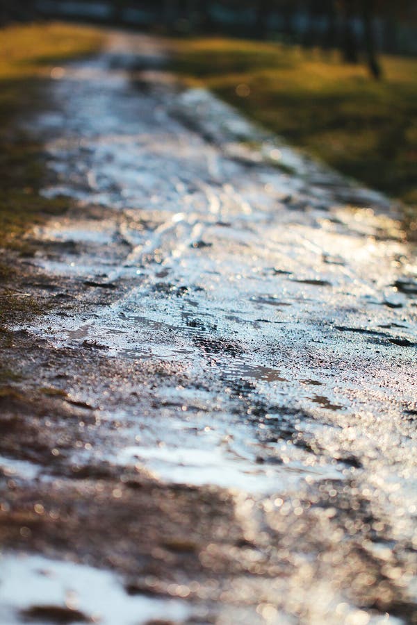Spring bike path stock photo. Image of green, bicycle - 77165622