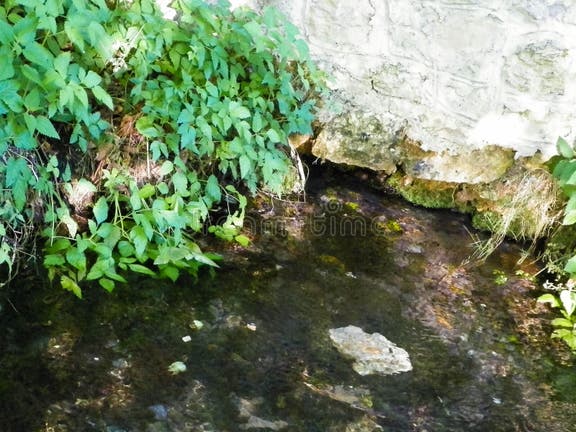 Spring of Black Drim S River Stock Photo - Image of balkan, spring ...