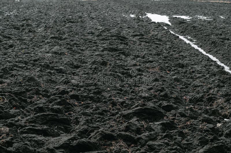 Spring Black Field with Snow. Chernozem after Winter Stock Image ...