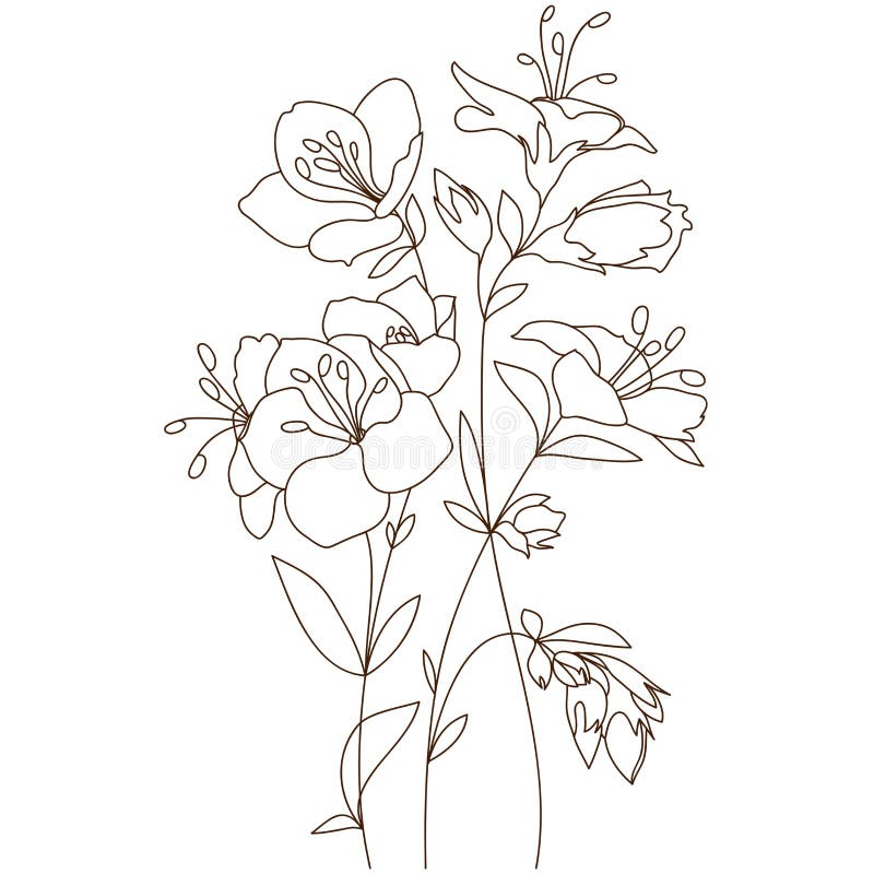 Spring Blooming Bouquet stock vector. Illustration of beautiful - 68815443