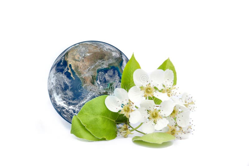 Spring Blooming Earth On White Background Elements Furnished By NASA ...