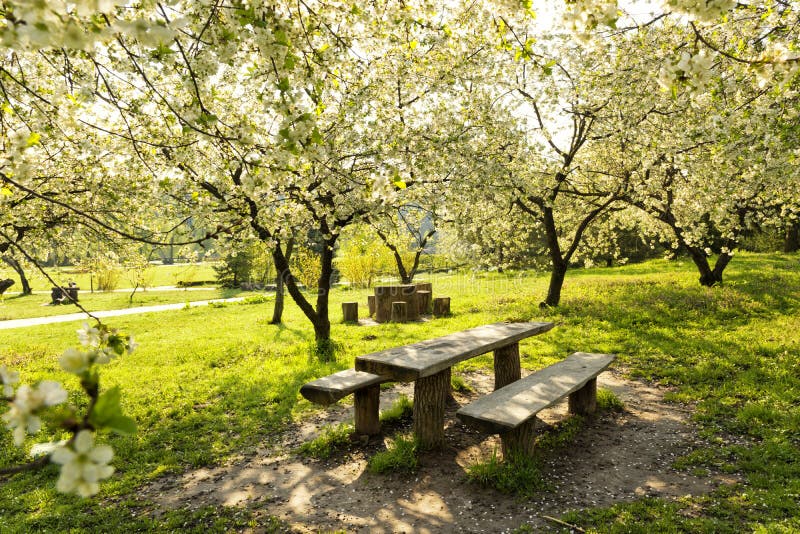 Spring blooming garden stock image. Image of beautiful - 94518981