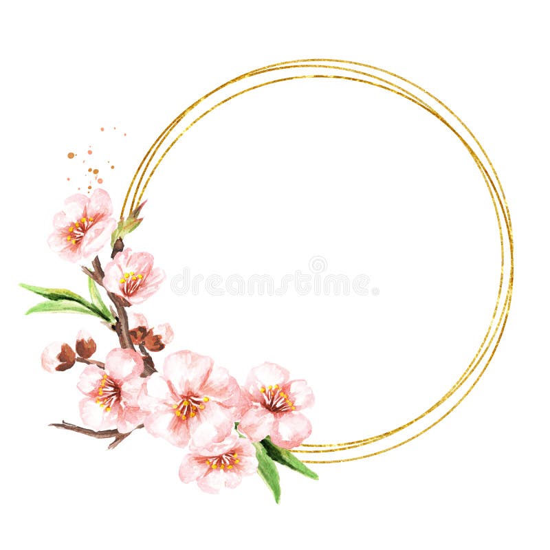 Sakura frame stock illustration. Illustration of frame - 23554069
