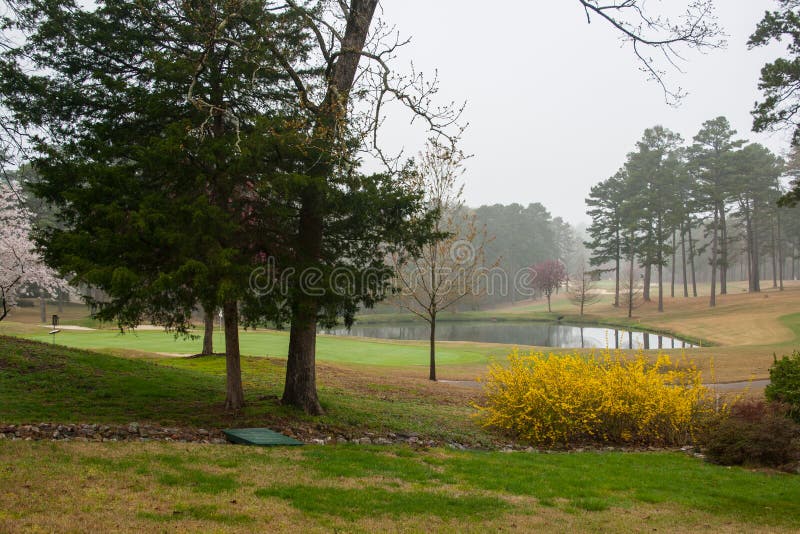 Spring Blooms at a Golf Course Stock Photo - Image of bloom, tree ...