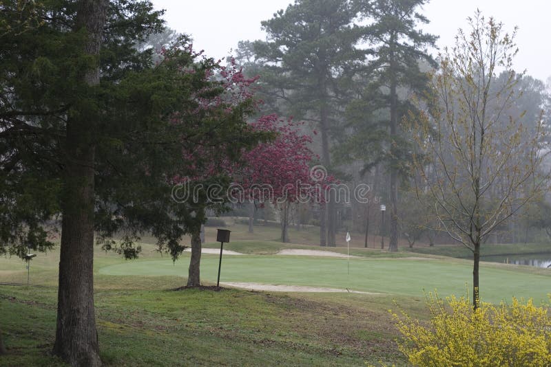 Spring Blooms at a Golf Course Stock Photo - Image of colorful, flowers ...