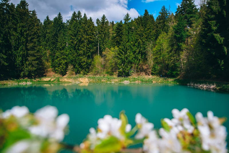 Magic lake stock image. Image of noon, pleasance, leaf - 828597