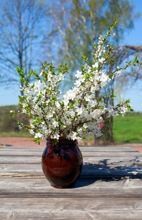 Spring Blossoms in a Clay Vase Stock Photo - Image of beginning, fresh ...