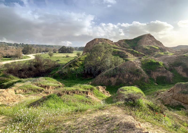 Besor Stock Photos - Free & Royalty-Free Stock Photos from Dreamstime