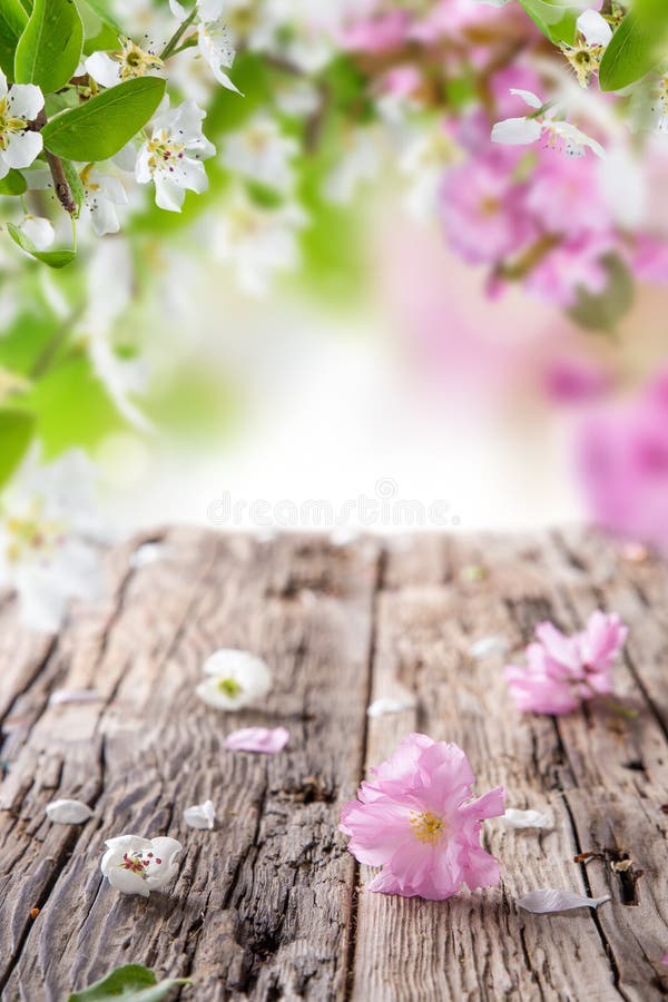 Spring Wild Flower Border stock image. Image of plant - 65048391