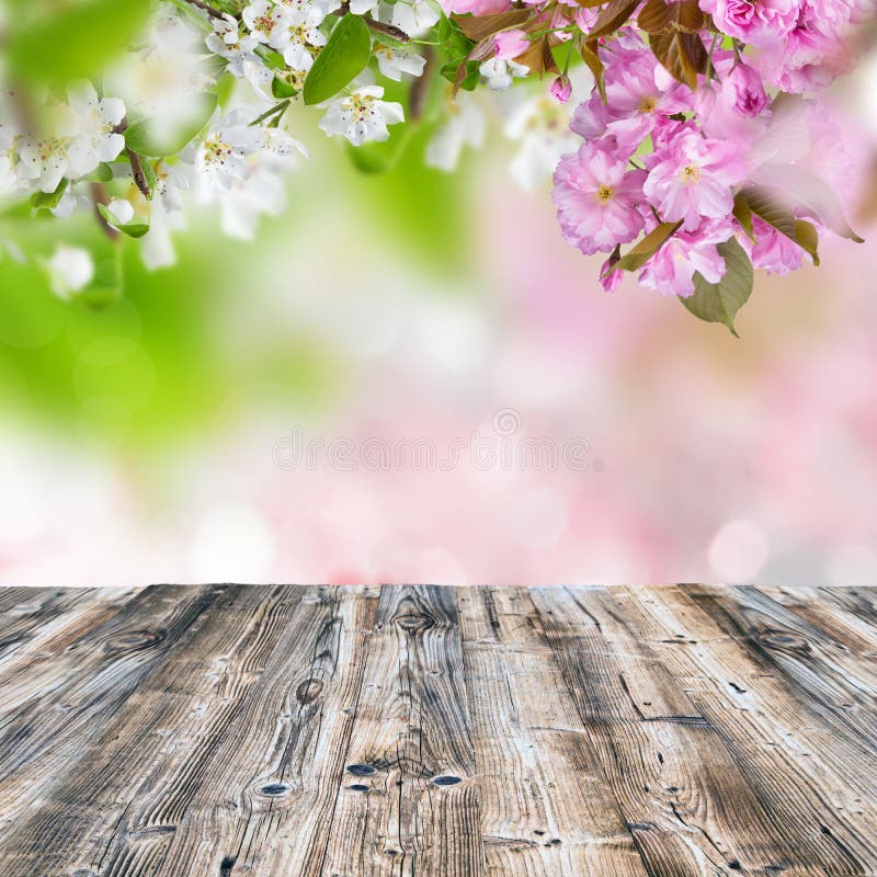 Spring Blossoms with Wooden Table Stock Photo - Image of holiday ...