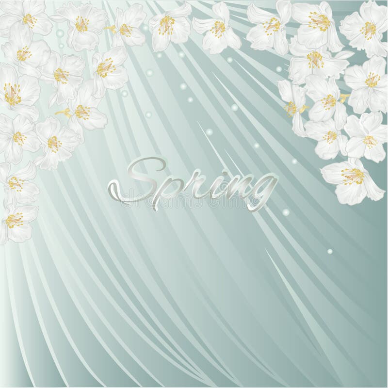 Blue Jasmine Stock Illustrations – 953 Blue Jasmine Stock Illustrations ...