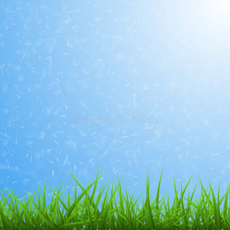 Spring Blue Background with Green Grass Stock Vector - Illustration of ...