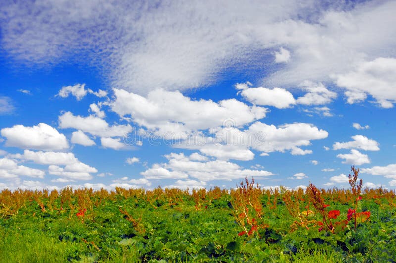 Spring blue sky stock image. Image of blue, simply, clean - 10447509