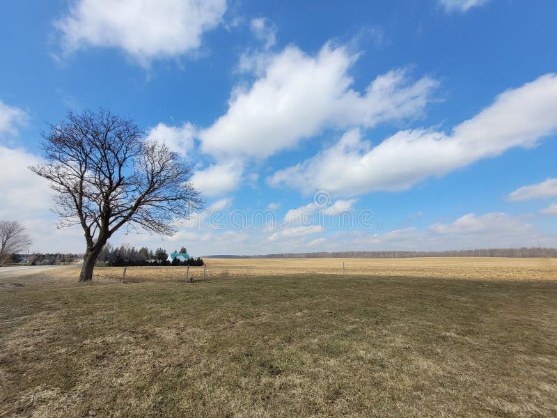 Spring Blue Sky and Open Fields Stock Image - Image of ontario, pasture ...