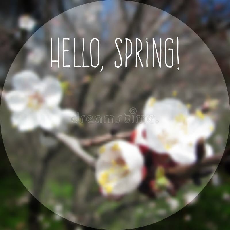 Spring Blurred Backdrop Background. Stock Illustration - Illustration ...