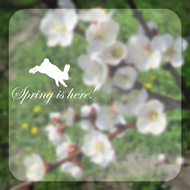 Spring Blurred Backdrop Background. Stock Illustration - Illustration ...