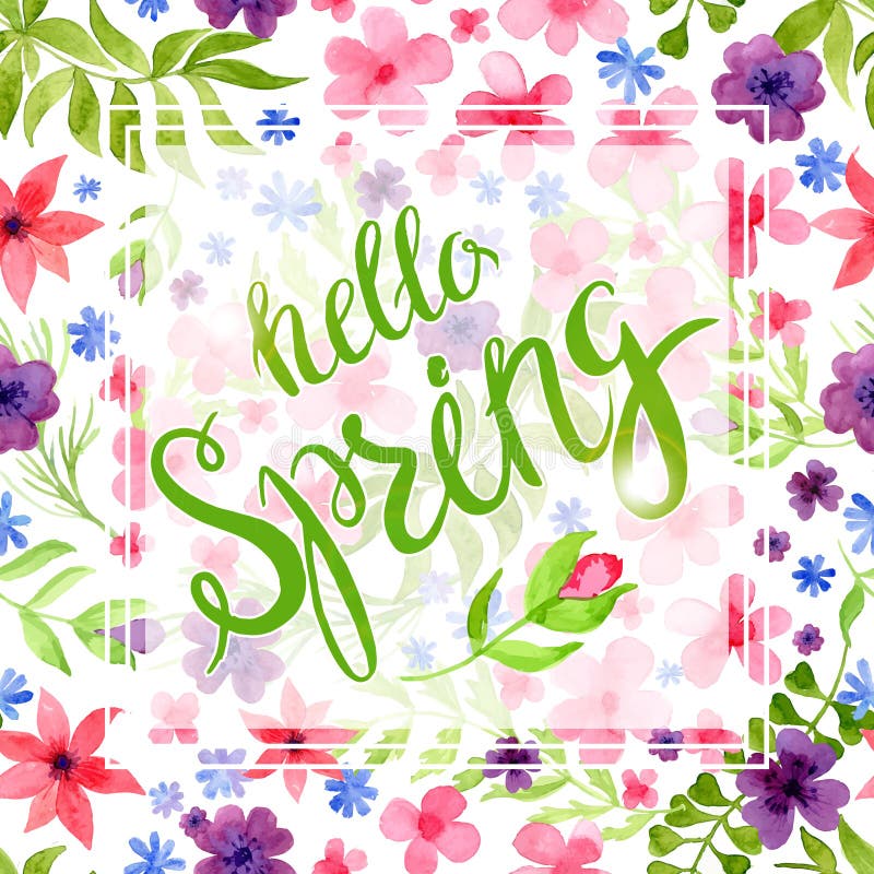 Hello Spring.Hand Lettering with White Flowers Frame.Paper Chamomile on ...