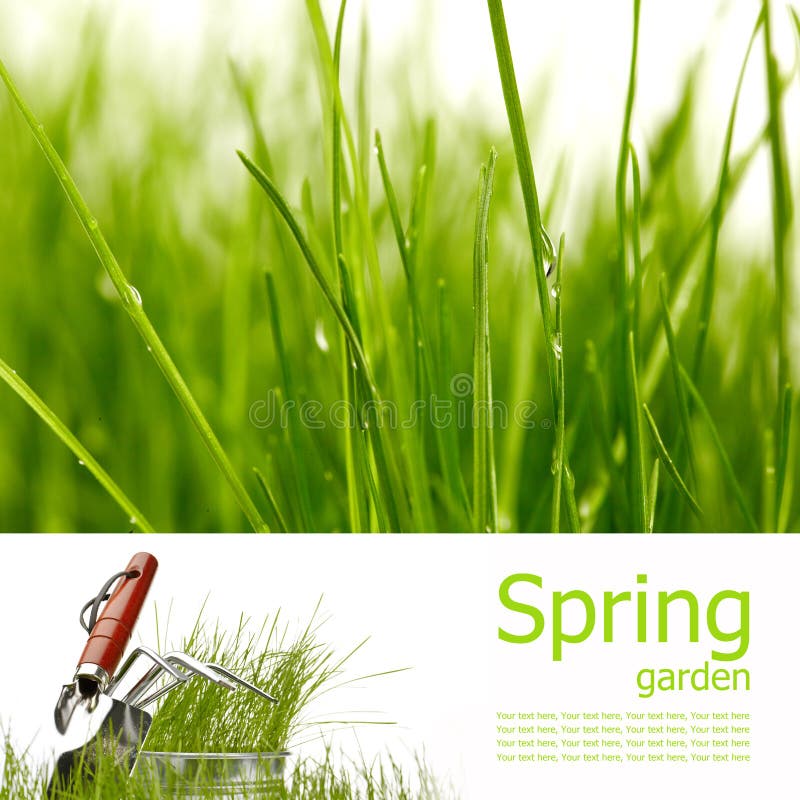 Spring board concept stock image. Image of high, field - 18509683