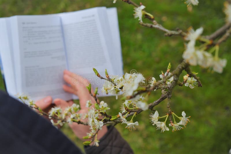 Spring Books. Open Book in Hands and White Flowers. Hands Leafing ...