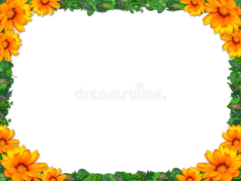 Flower border stock illustration. Illustration of spring - 374133
