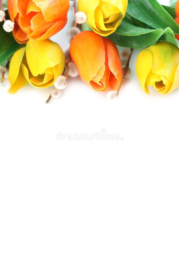 5,182 Spring Tulips Flower Frame Border Photos - Free & Royalty-Free ...