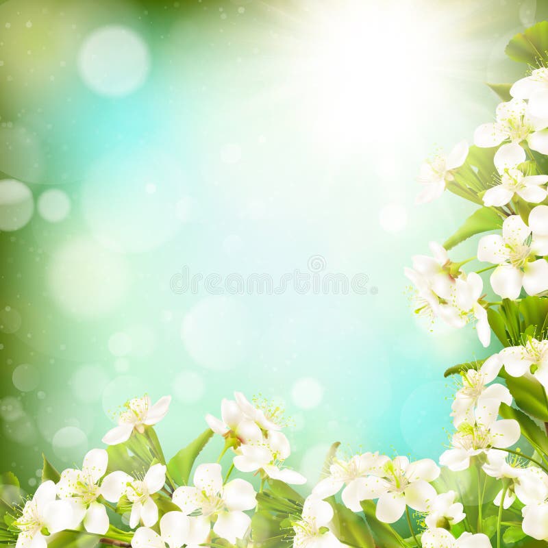 Spring Border Background Stock Illustrations – 397,351 Spring Border ...