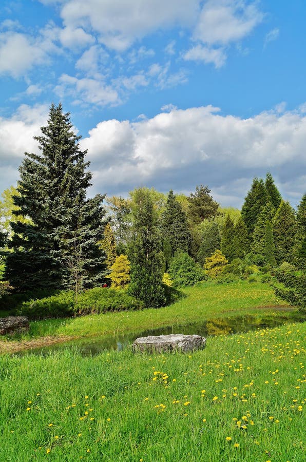 Spring in the Botanical Garden Stock Photo - Image of forest, lawn ...