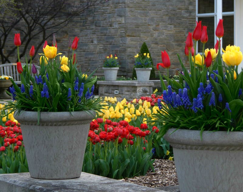 5,900+ Spring botanical garden Free Stock Photos - StockFreeImages