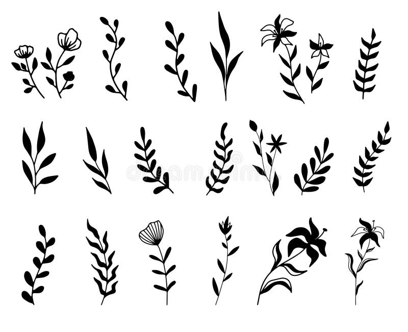 Spring Botanical Leaves and Flowers Elements Isolated Vector ...