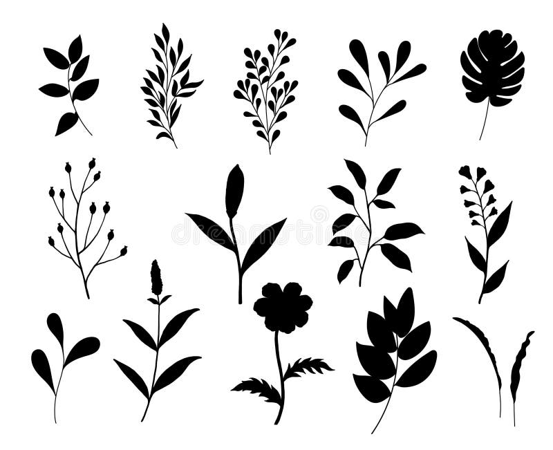 Spring Botanical Leaves and Flowers Elements Isolated Vector ...