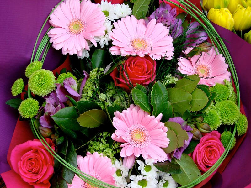 Spring bouquet stock image. Image of color, colors, daisies - 4712611