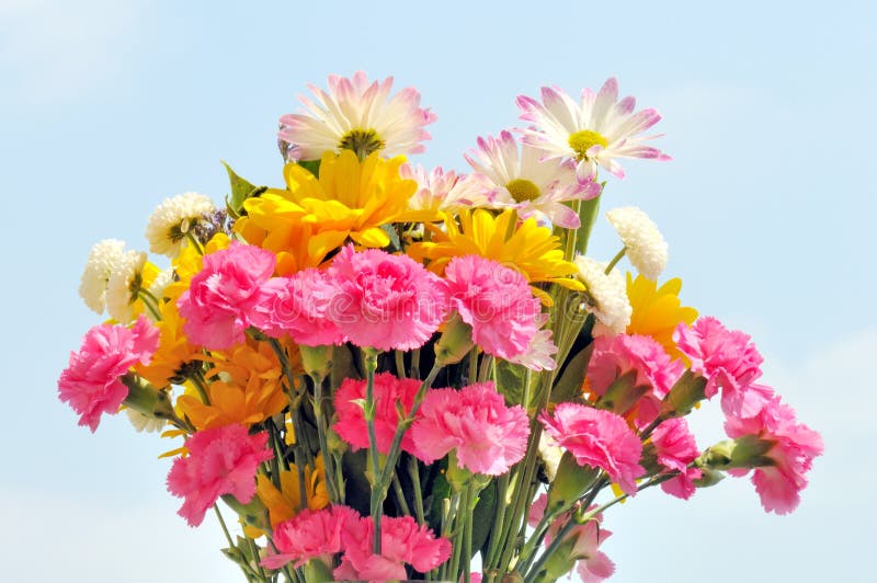 Spring bouquet stock image. Image of bright, caring, cheerful - 4988103