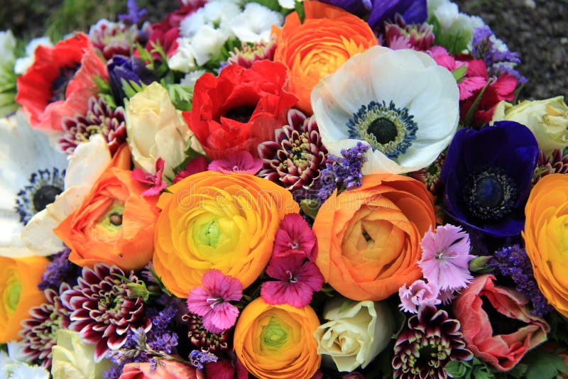 Spring Bouquet in Bright Colors Stock Image - Image of flowers, white ...