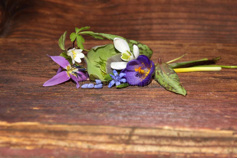 The Spring Bouquet of Flowers on Wood Stock Photo - Image of beauty ...