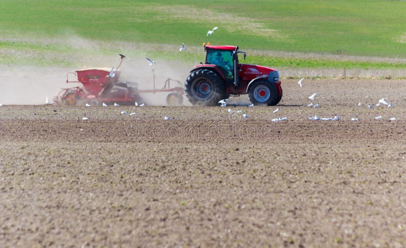 Spring sowing with tractor editorial stock image. Image of landscape ...