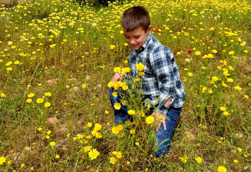 Spring Boy stock photo. Image of child, looking, health - 45482388