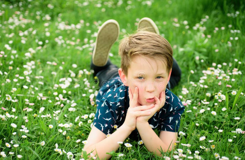 Spring Boy Resting on Grass. Cute Kid on Field Flower. Dreaming Child ...