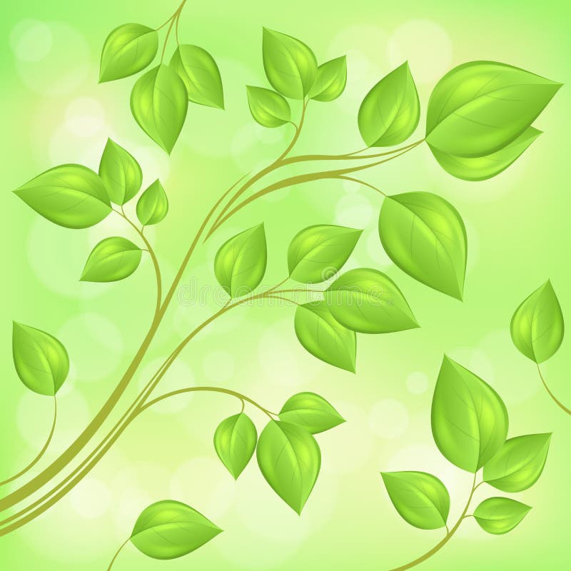 Spring Branch with Fresh Leaves on Green Stock Vector - Illustration of ...