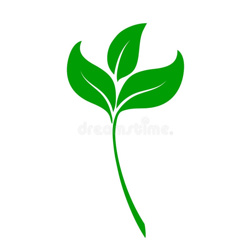 Spring Branch with Green Leaves Icon Vector Isolated on White ...