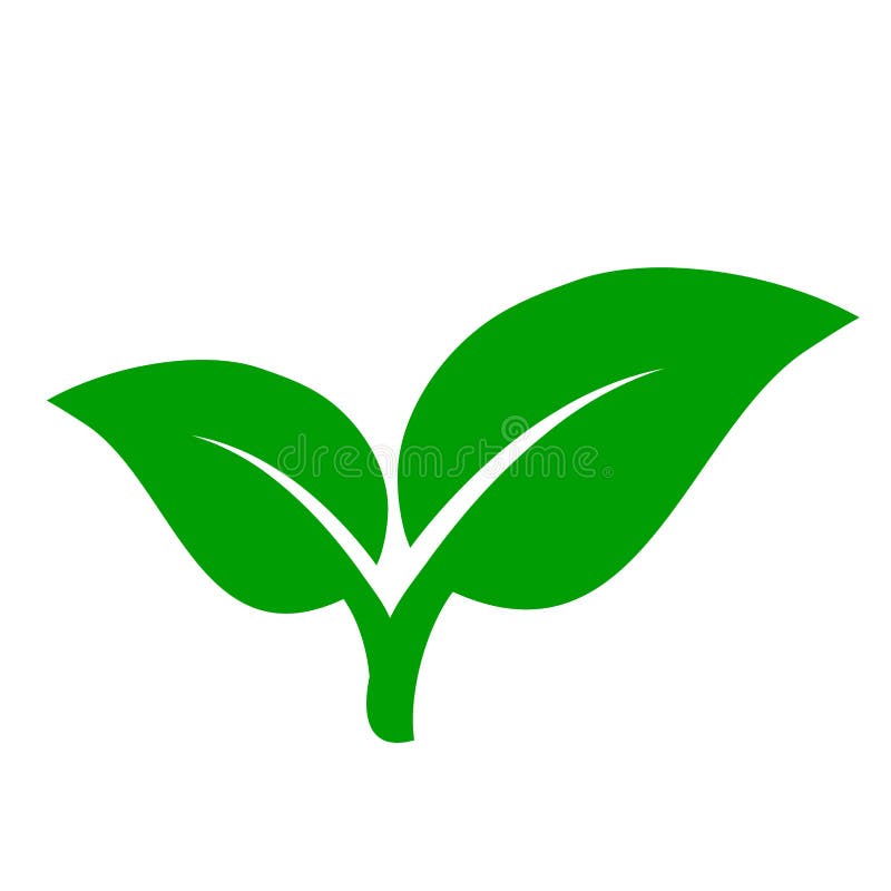 Spring Branch with Green Leaves Icon Vector Isolated on White ...