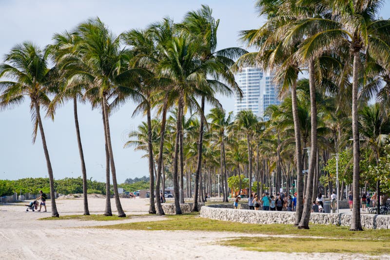 Spring Break 2021 Miami Beach Scene Stock Image - Image of covid ...