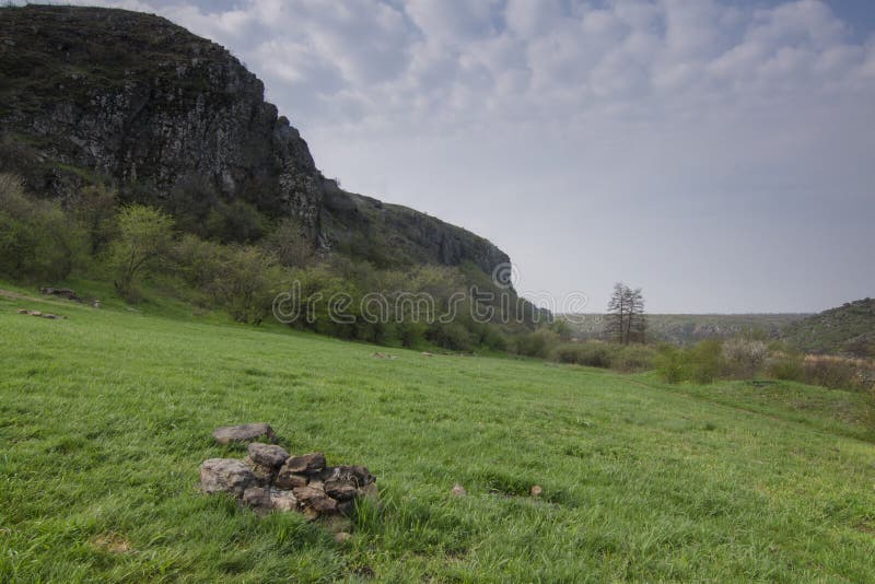 Spring break in nature stock image. Image of rock, tree - 136419627