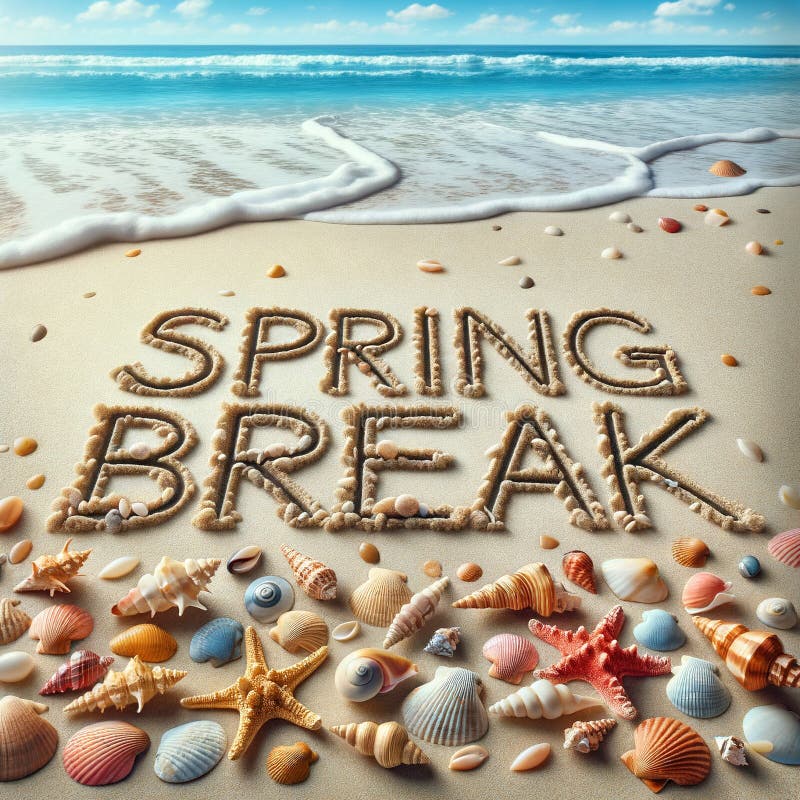 Spring Break Text, Beach, Sand, Shells Stock Illustration ...