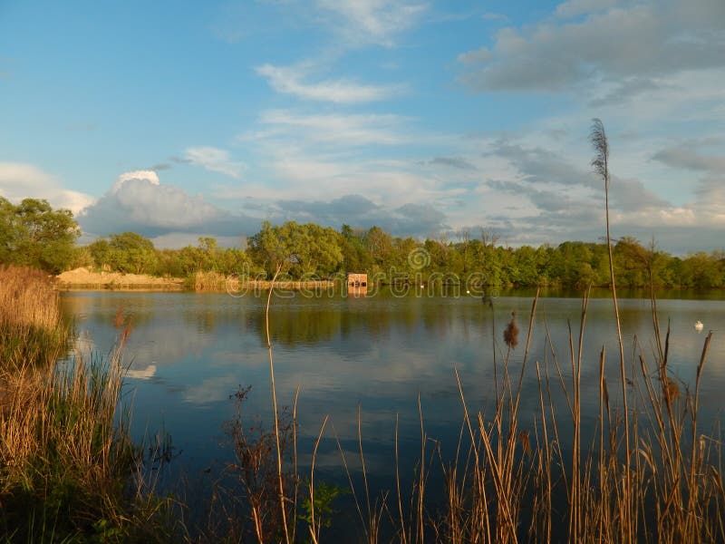Spring Breeze stock photo. Image of vegetation, poppies - 12977188