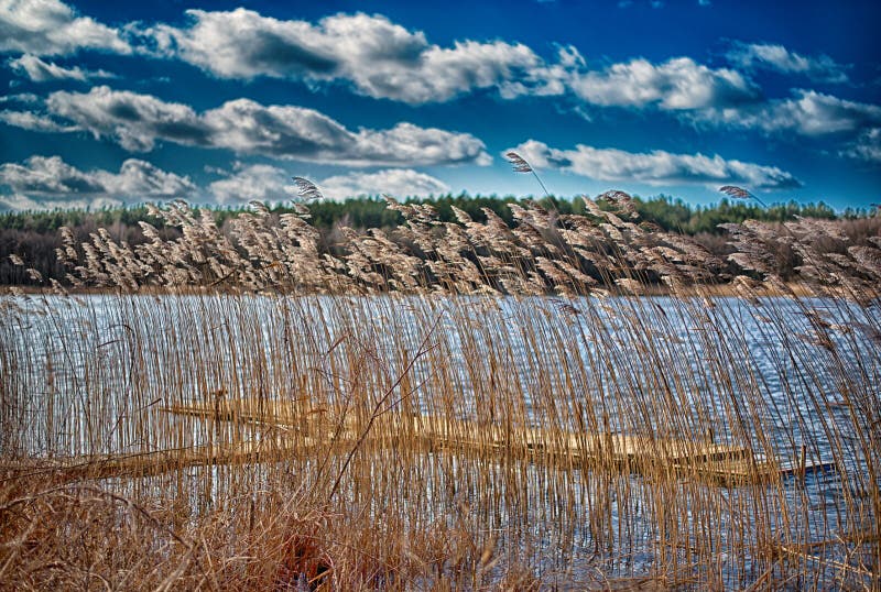 Spring breeze stock image. Image of concept, caucasian - 13842587