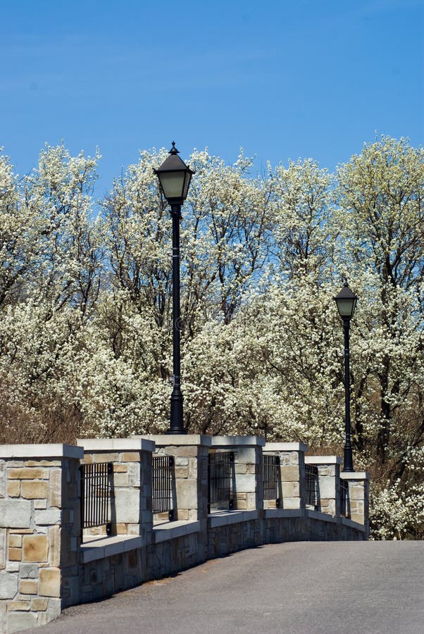 Spring Bridge stock image. Image of lights, road, blue - 24437363
