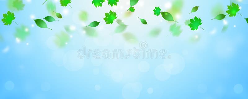 Spring Bright Flying Leaves Banner Stock Photo - Image of decoration ...