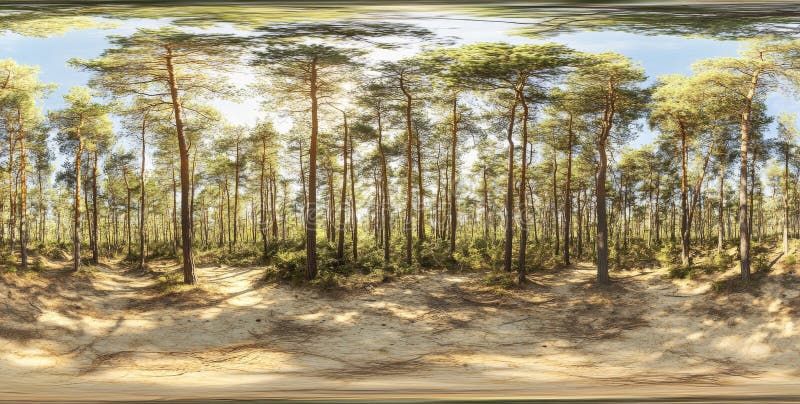 Spring Brings Beautiful, Bright Sun Rays To the Silent Forest Stock ...