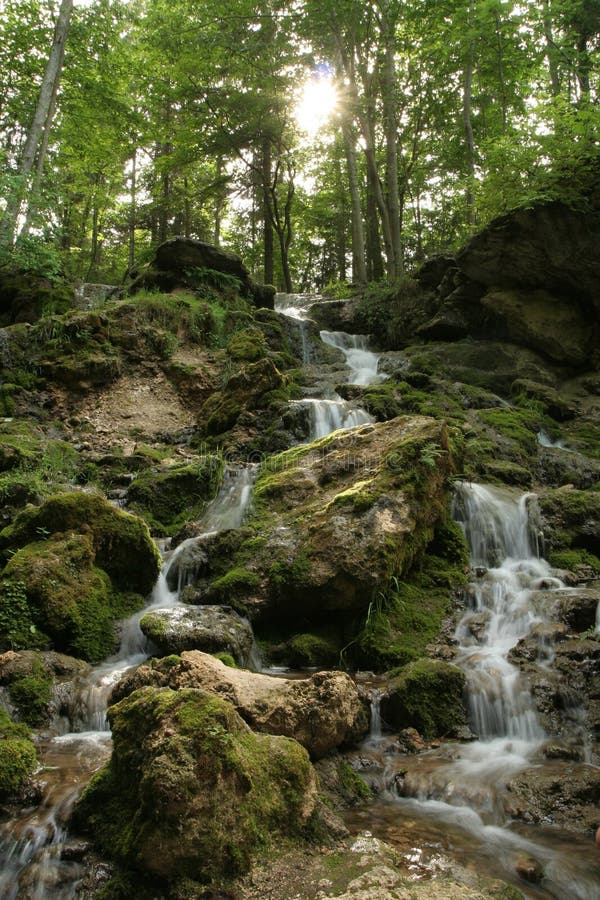 Spring brook stock image. Image of leaf, rill, green, stone - 3279495
