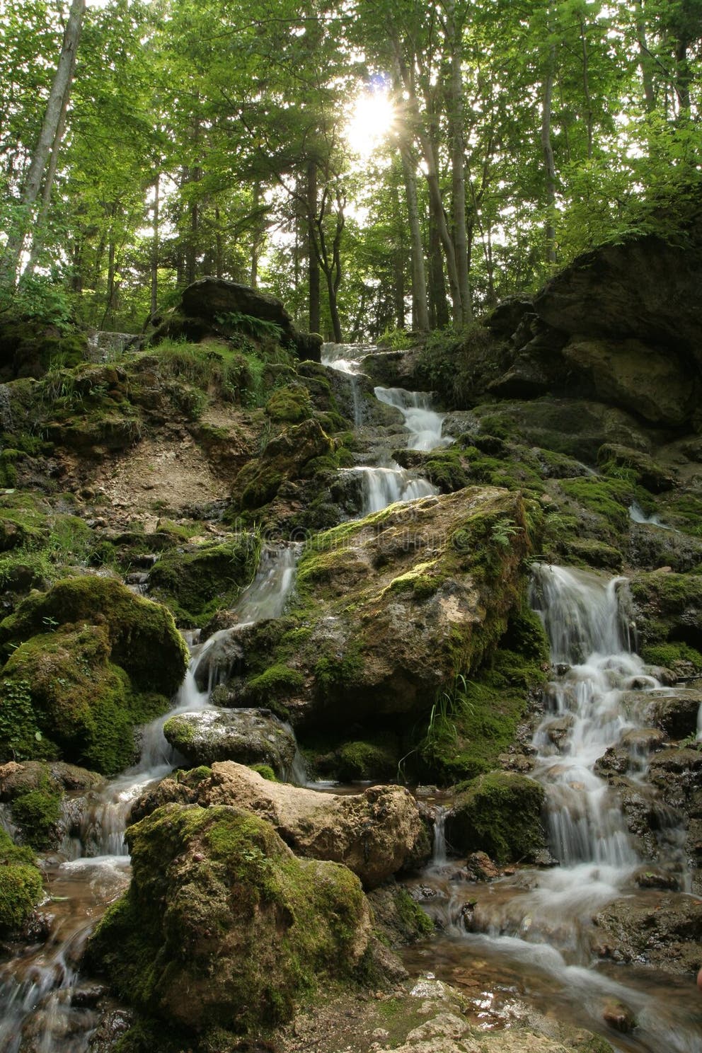 32,261 Spring Brook Trucking Stock Photos - Free & Royalty-Free Stock ...